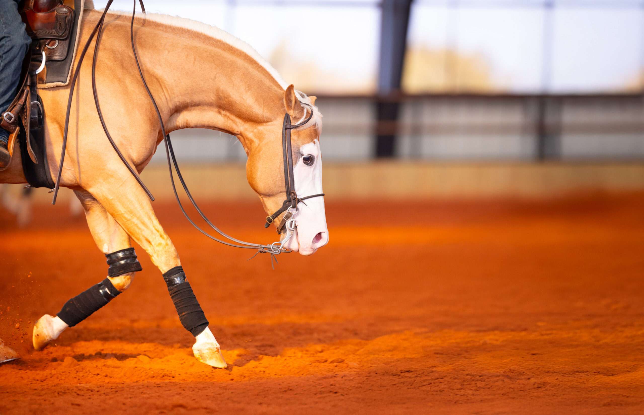 Be Limitless. Dream It. Achieve It.