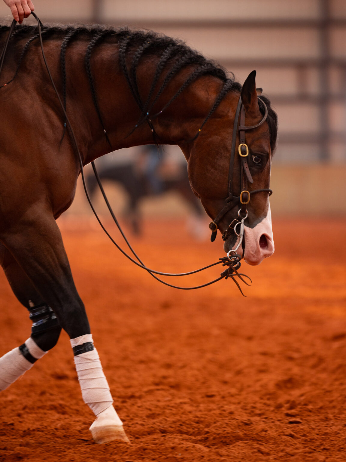 About - 7 Lakes Ranch